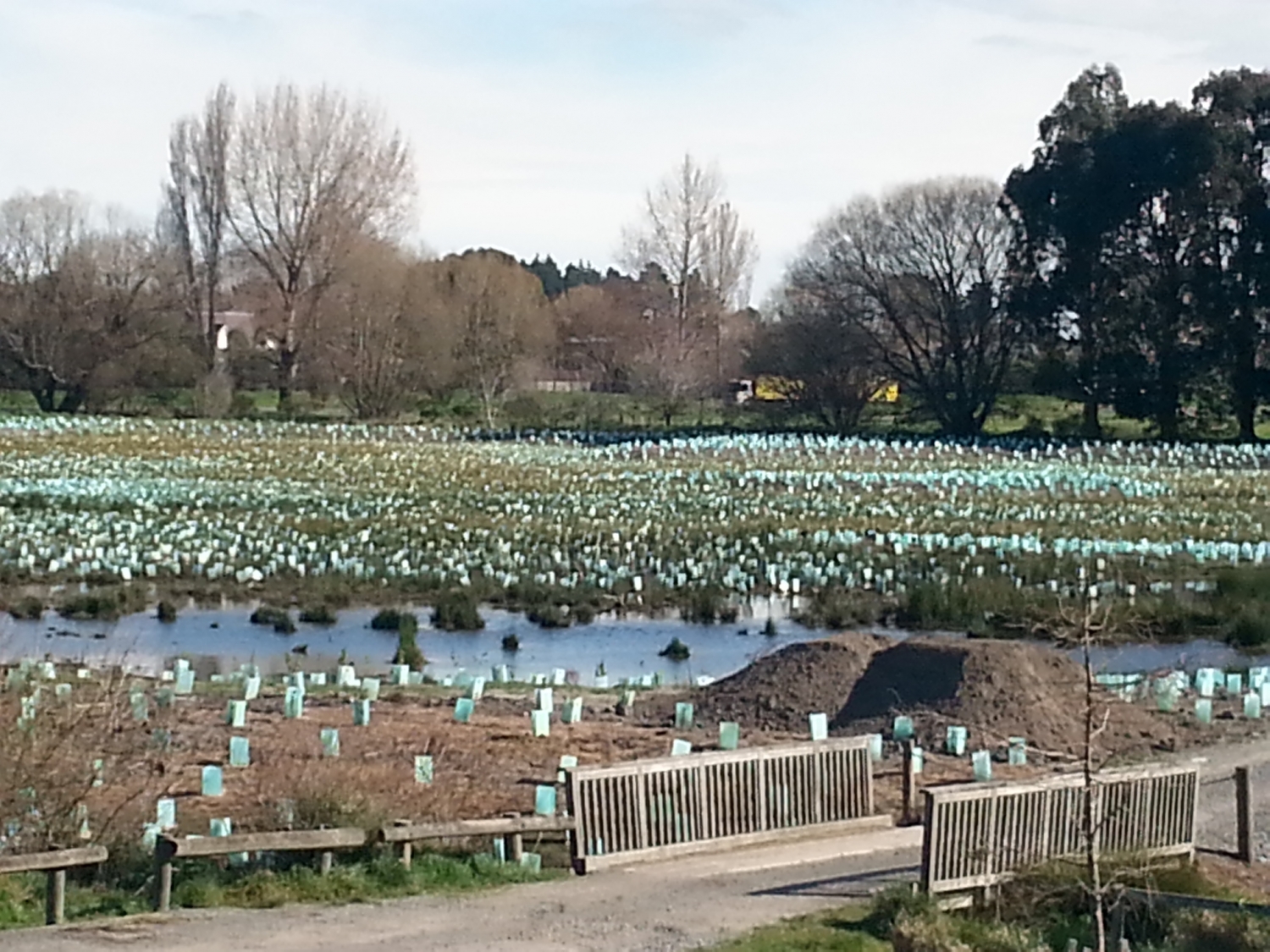 Spray Guards Manufacturers New Zealand. Spray Guard Plant protection.